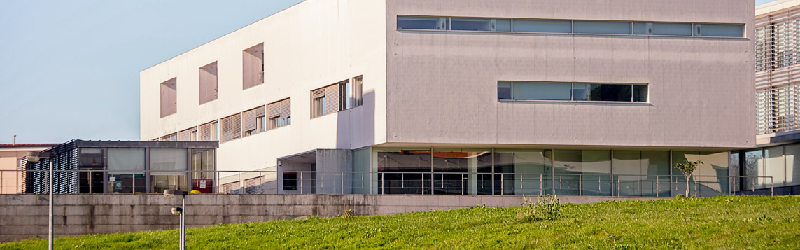 School of Engineering (EENG)