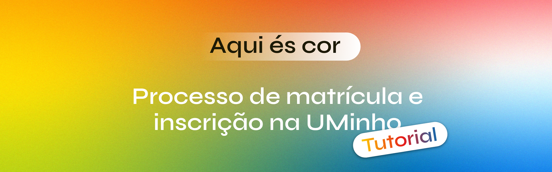 Universidade do Minho